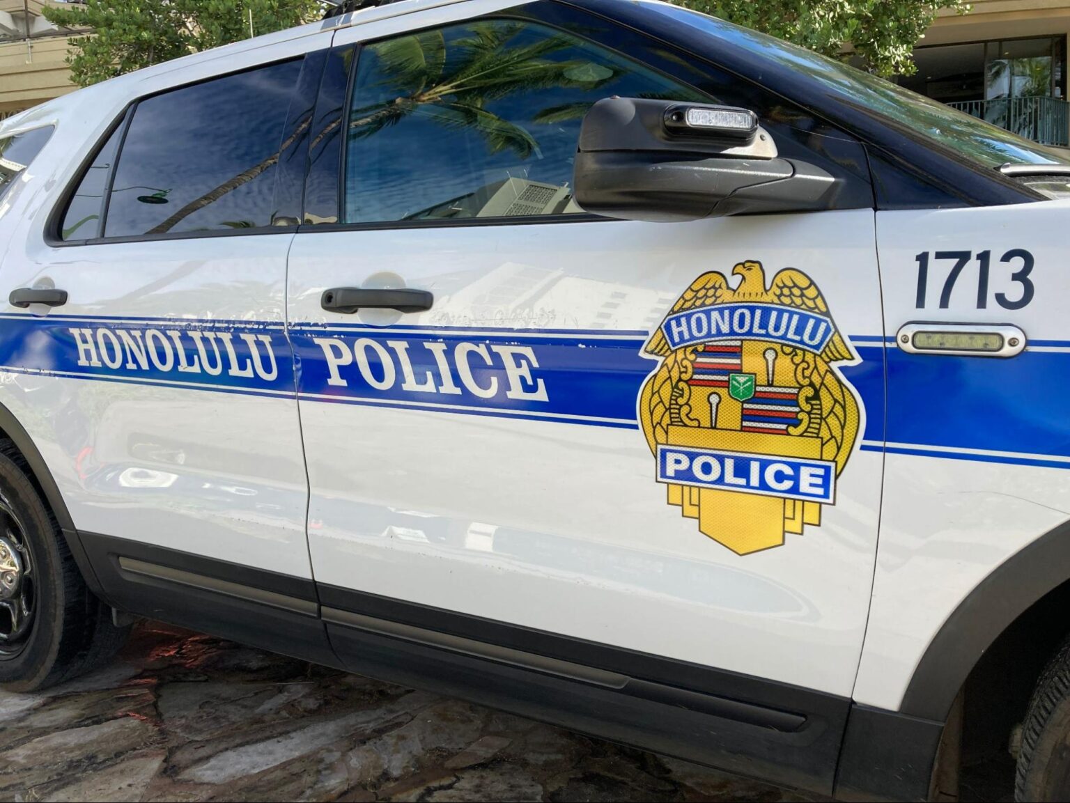 ハワイの暮らしは大丈夫？治安についてわかりやすく解説 | Biz Hawaii | ハワイ/アメリカ移住を目的としたM&AによるE2ビザ（投資 ...